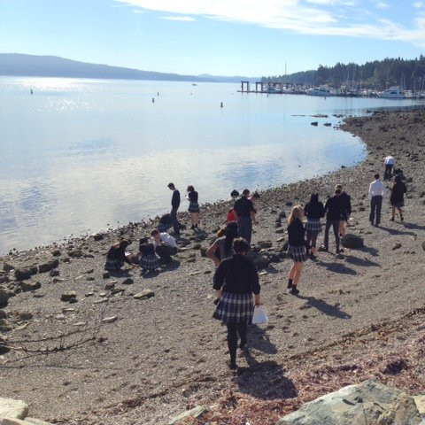 Seashells by the Seashore - Brentwood College School